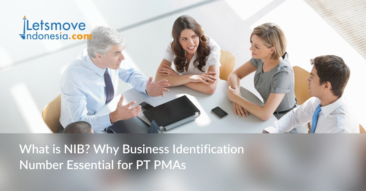 What is NIB? Why Business Identification Number Essential for PT PMAs ...